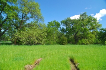 Are You Calcified…In A Rut? - Pathmaker Coaching